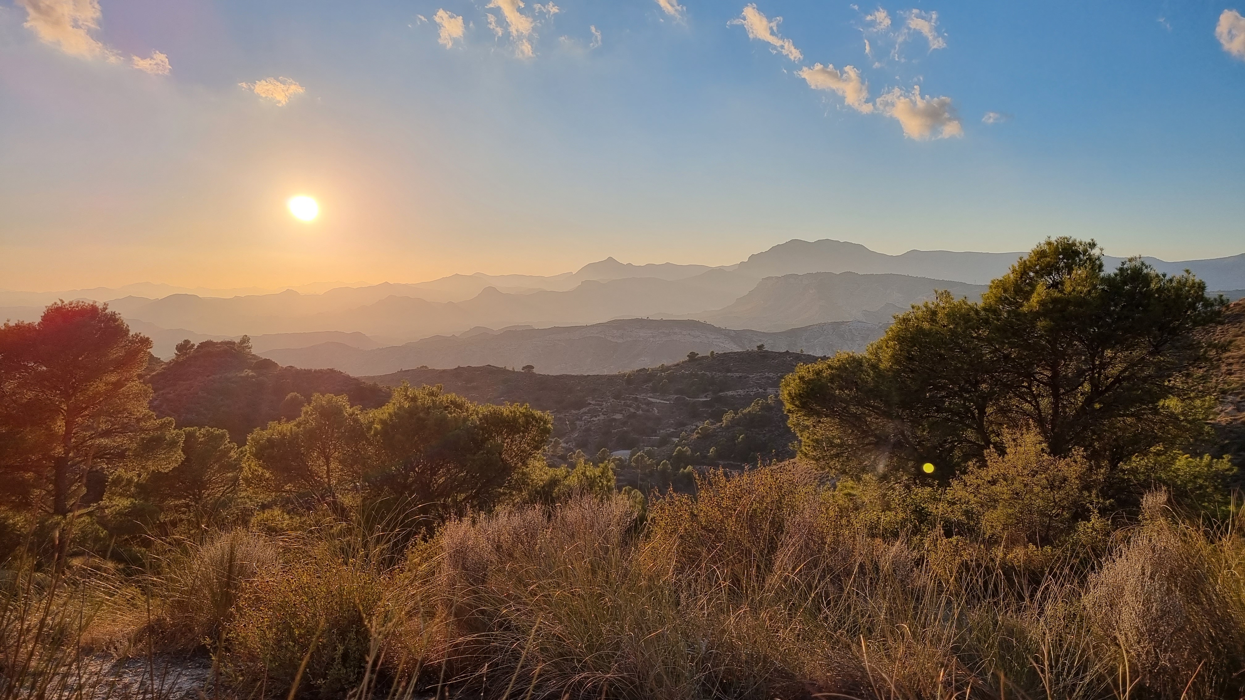 Synthesis Institute - Practicum